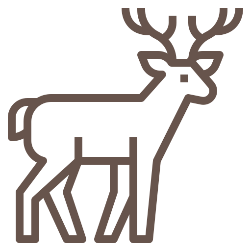 Exclusive trophy hunts in Slovakia | Besthunting